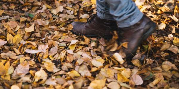 Safety in Focus: Preventing Slips, Trips, and Falls This Autumn ...